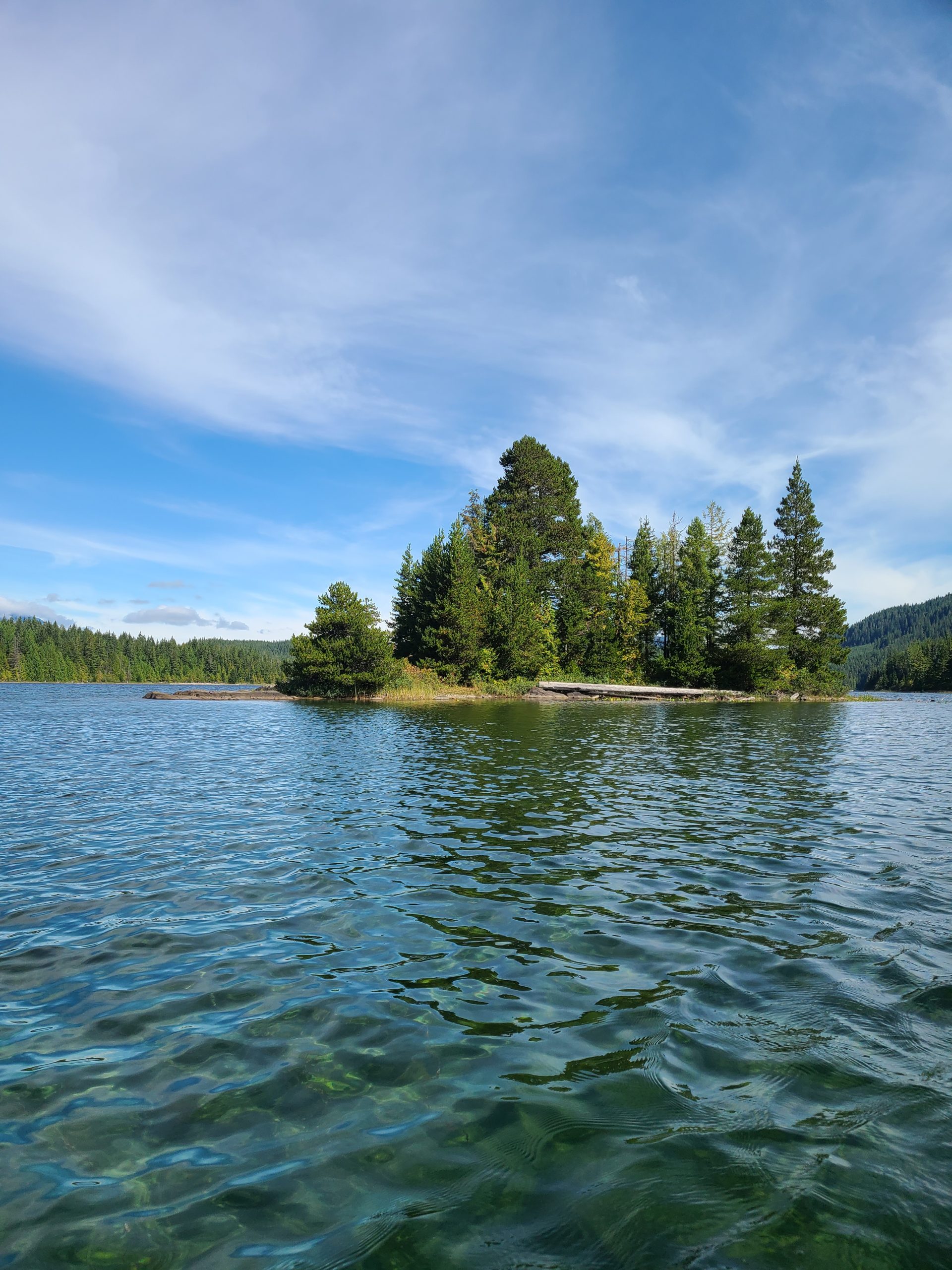 Family Bonding on the Sayward Lakes | Tracy Kobus Artwork
